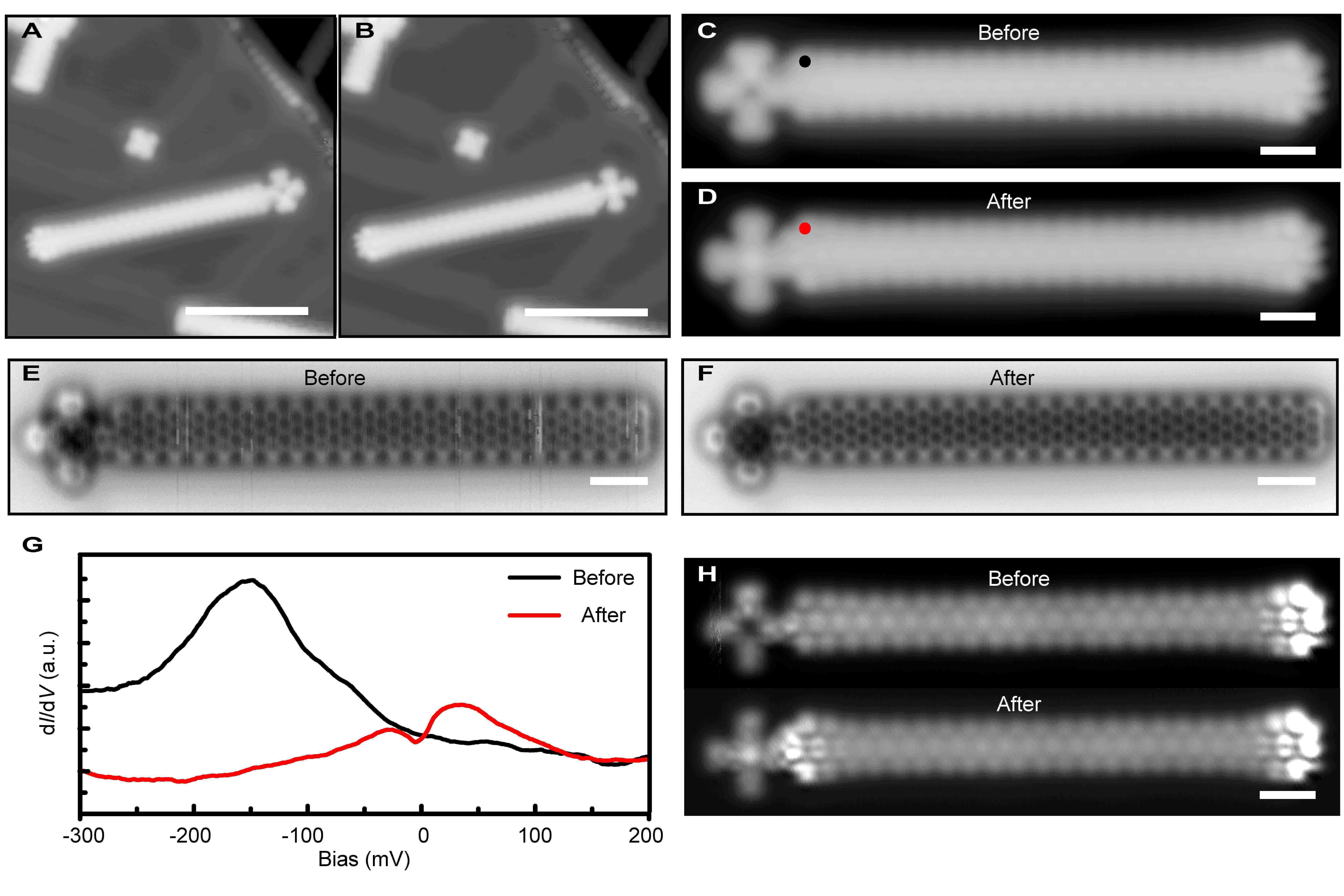 SPST Scientists Make Nanomaterials Advance